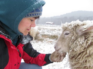 Artist/Contact | Welcome to Amy Mosher Art