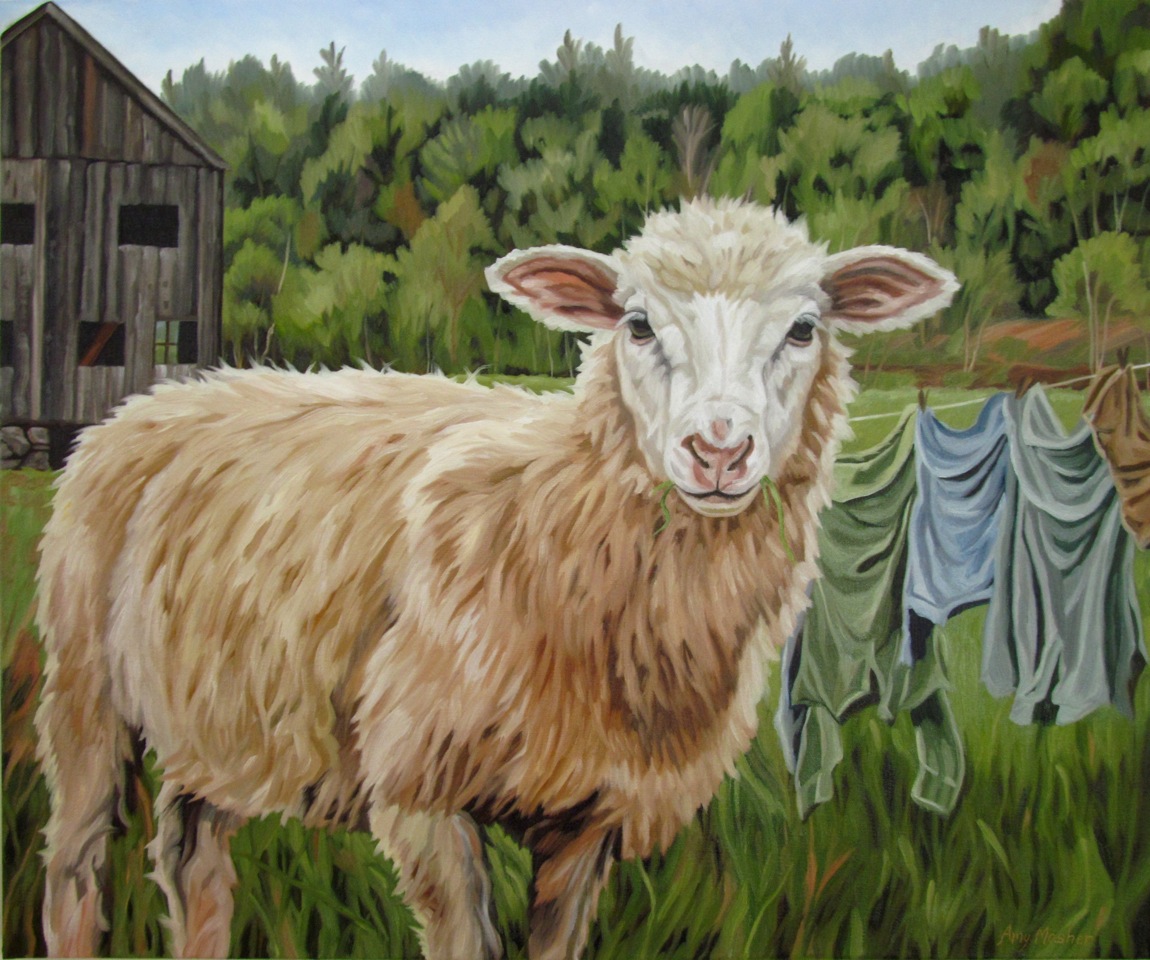 Sheep | Welcome to Amy Mosher Art