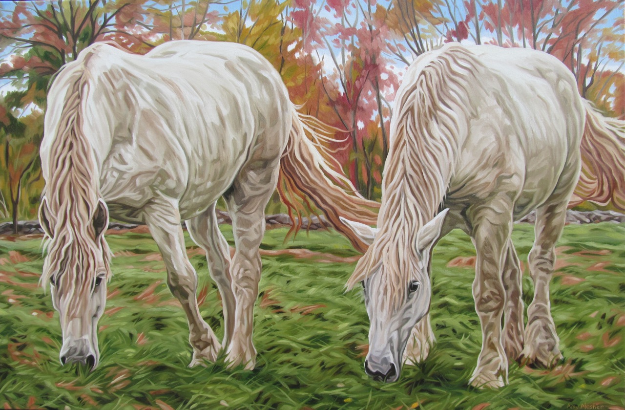 Horses | Welcome to Amy Mosher Art