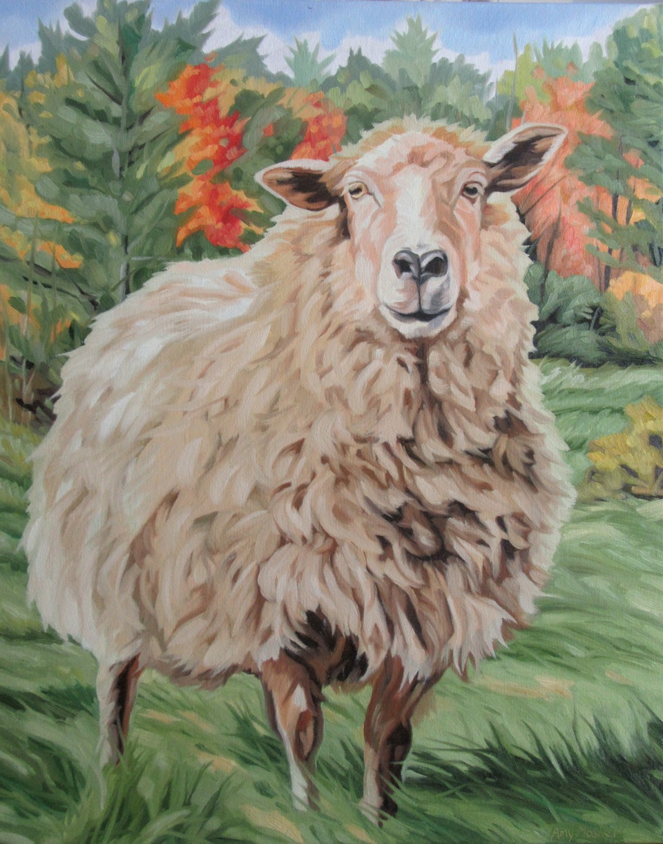 Sheep | Welcome to Amy Mosher Art