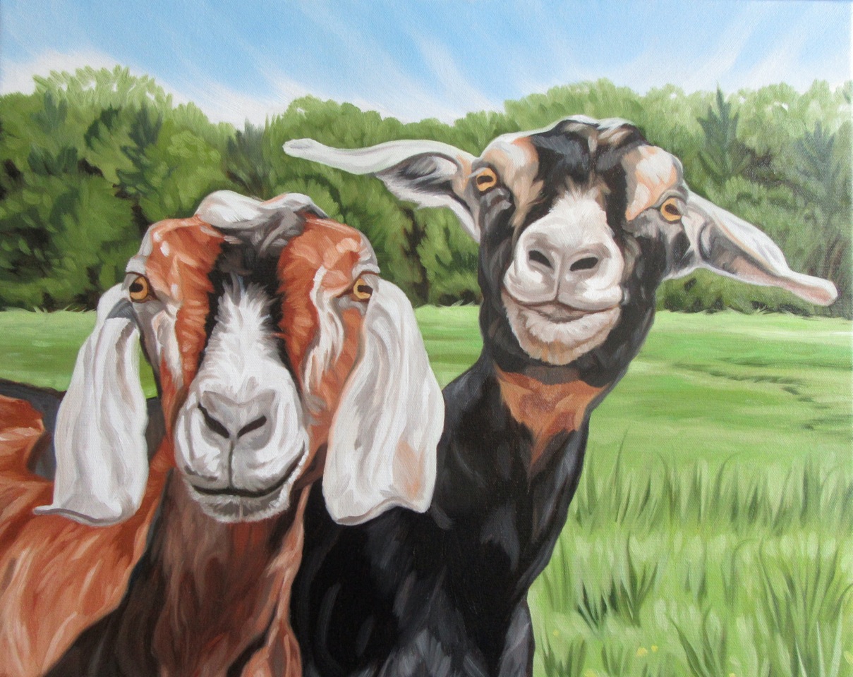 Goats | Welcome to Amy Mosher Art