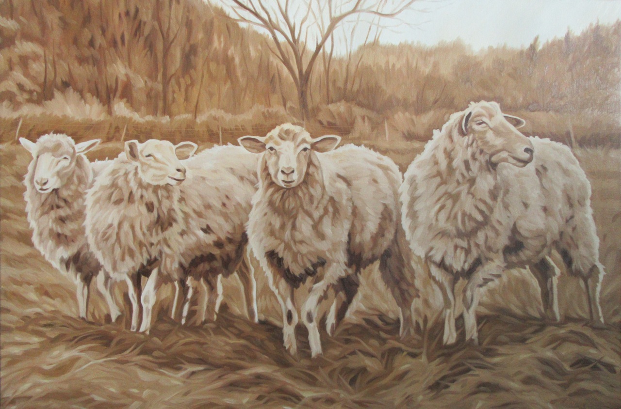 Sheep | Welcome to Amy Mosher Art