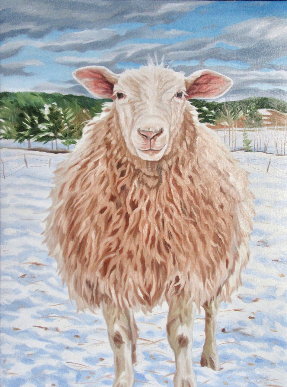 Sheep | Welcome to Amy Mosher Art