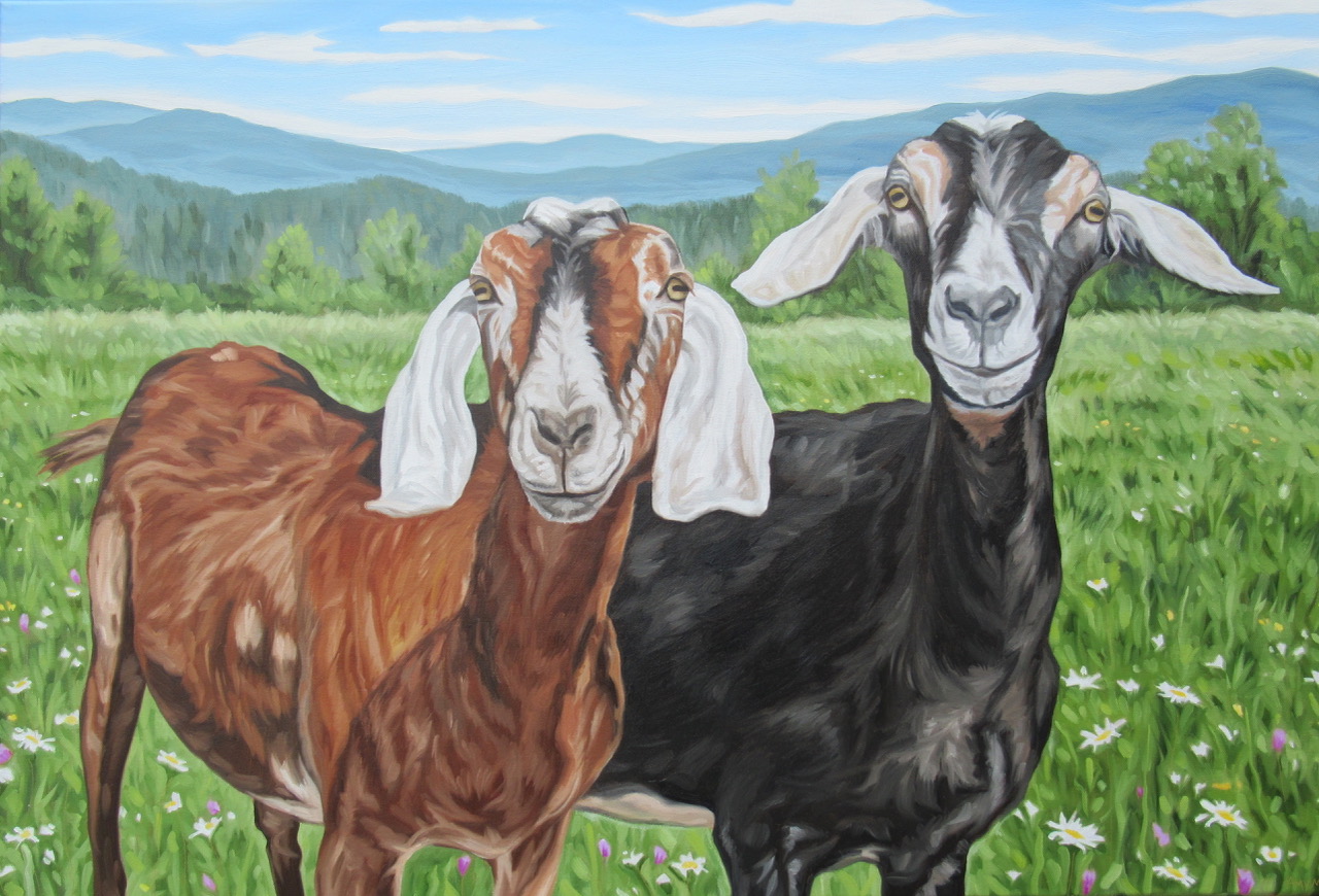 Goats | Welcome to Amy Mosher Art